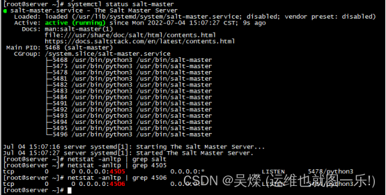Linux引入中saltstack介绍与使用_saltstack使用-CSDN博客