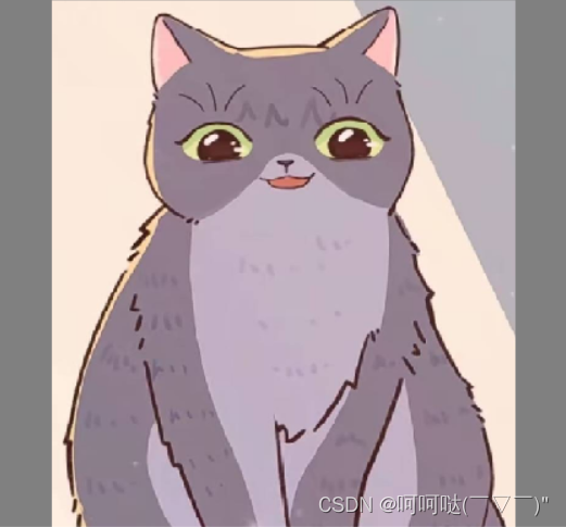 Python 图像预处理(图像非形变操作和图像归一化)ace图像预处理python代码 Csdn博客