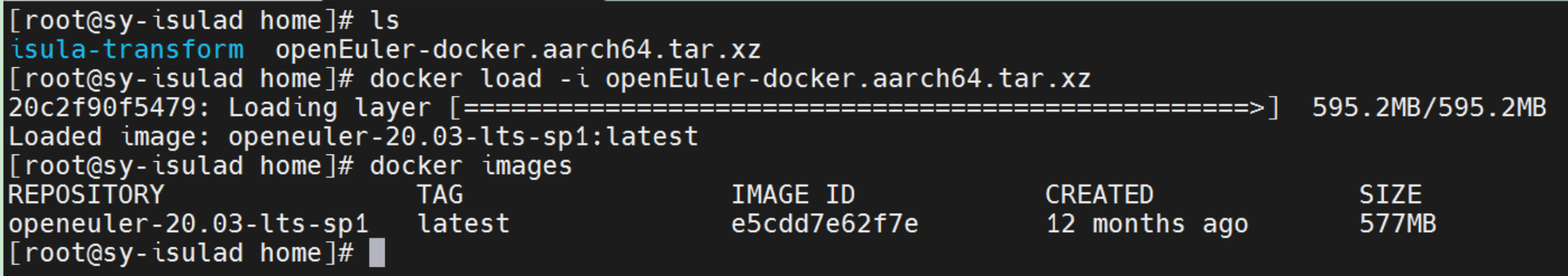 isulad研究测试记录_docker_measure&control-Ssir-华为云开发者联盟