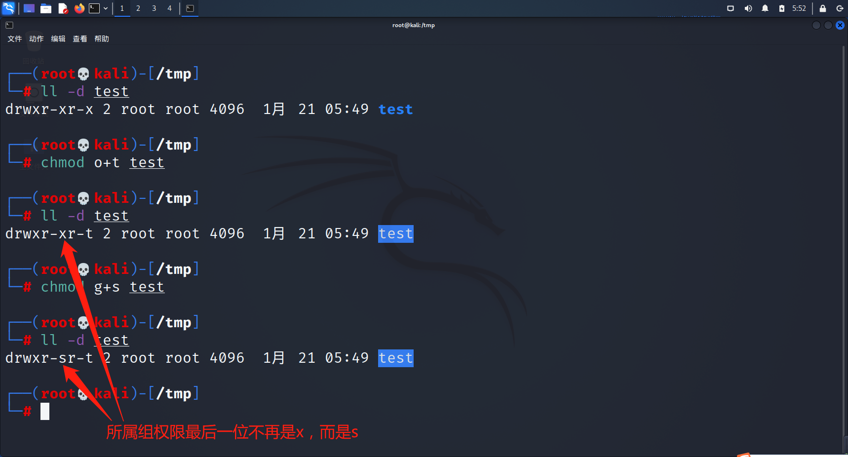 第10节Kali Linux系统调整文件及目录权限_kali修改文件权限-CSDN博客