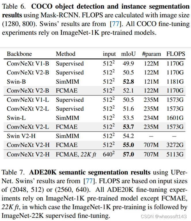 ConvNeXtV2_convnextv2 预训练-CSDN博客