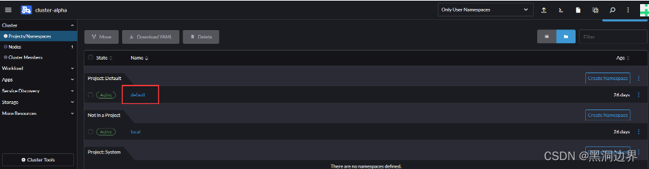 如何通过JAVA调用Rancher API_java 集成rancher-CSDN博客
