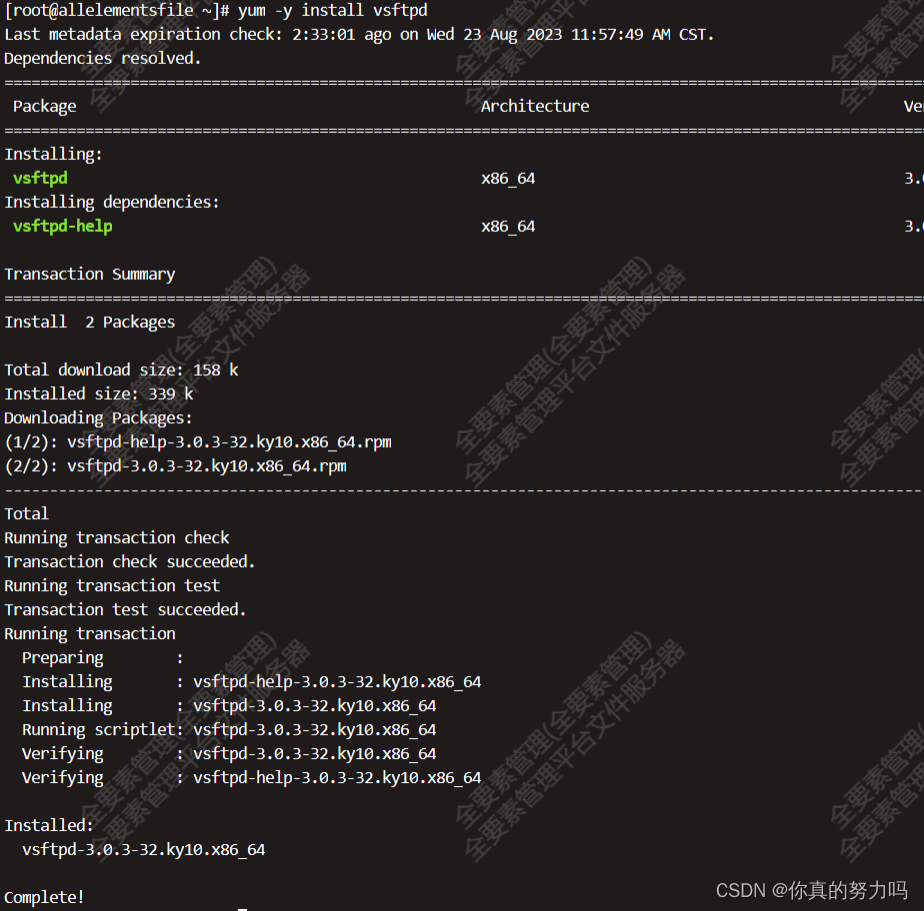 银河麒麟V10搭建vsftpd_l麒麟系统安装vsftpd-CSDN博客