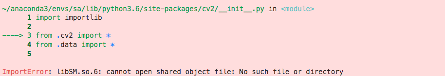 libSM.so.6报错解决-CSDN博客