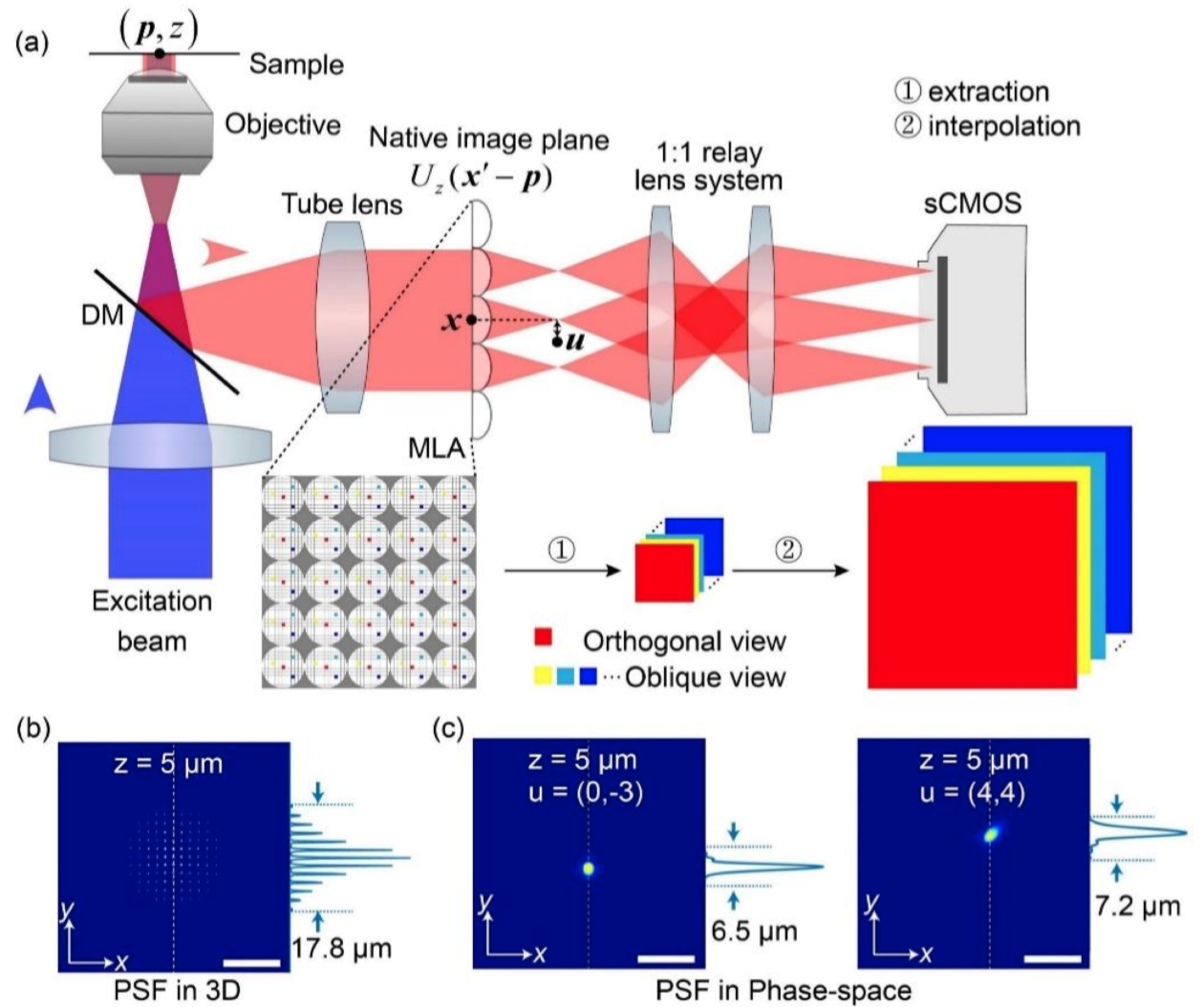 Phase-space Deconvolution for Light FIeld Microscopy算法解读-CSDN博客