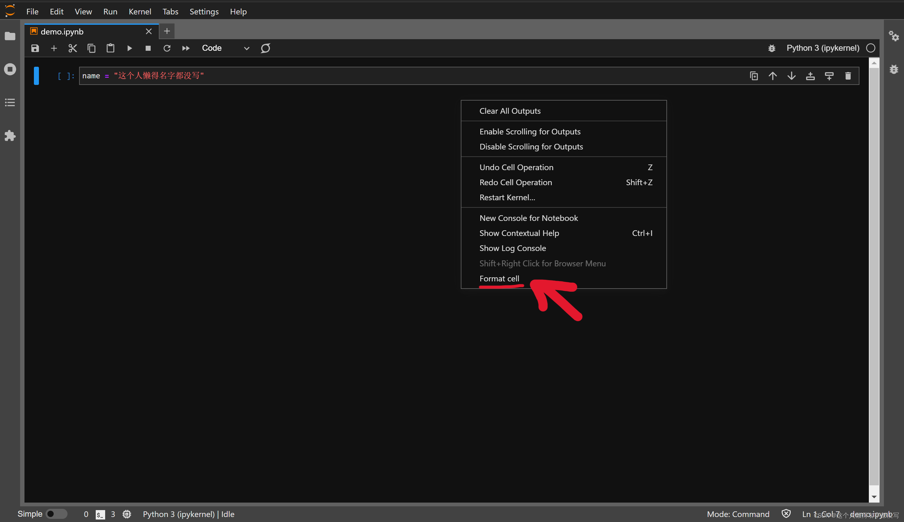 Jupyterlab 格式化代码插件jupyter格式化代码 Csdn博客