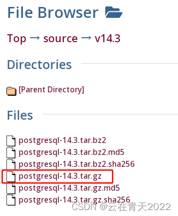 Linux installation postgreSQL - Programmer Sought