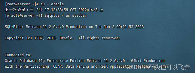 Oracle11g数据库表空间不足报错问题ORA-00604，ORA-01653，ORA-02002_ora00604表空间不足无法登录-CSDN博客