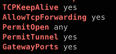 ssh端口转发_allowtcpforwarding-CSDN博客