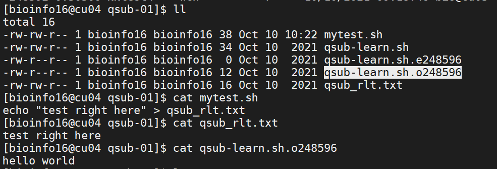 qsub使用简介-CSDN博客