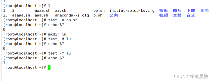 Shell编程之条件语句rootlocalhost ~ Echo Csdn博客 