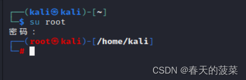 【kali】如何进入root用户_kali root-CSDN博客