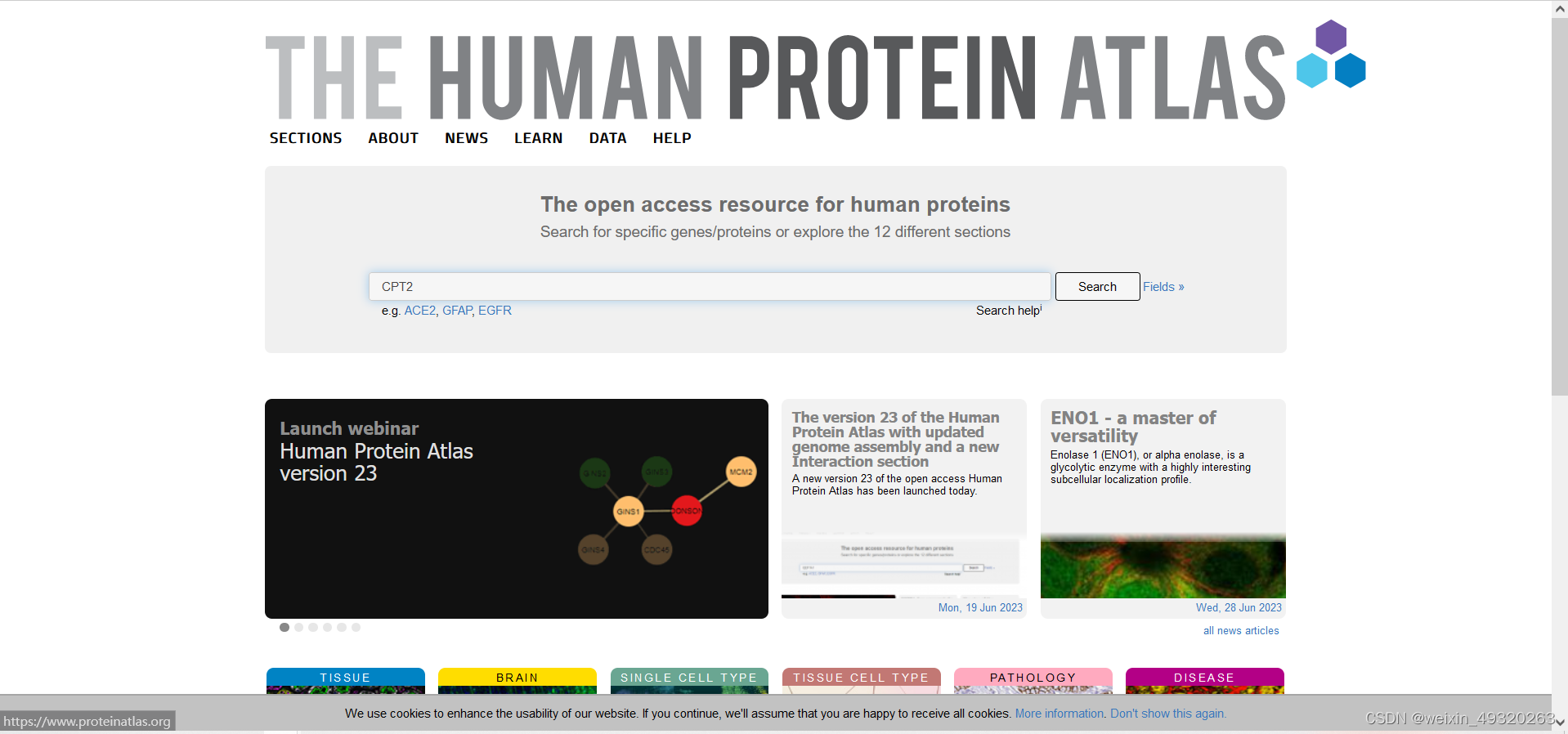HPA数据库的使用（1）-CSDN博客