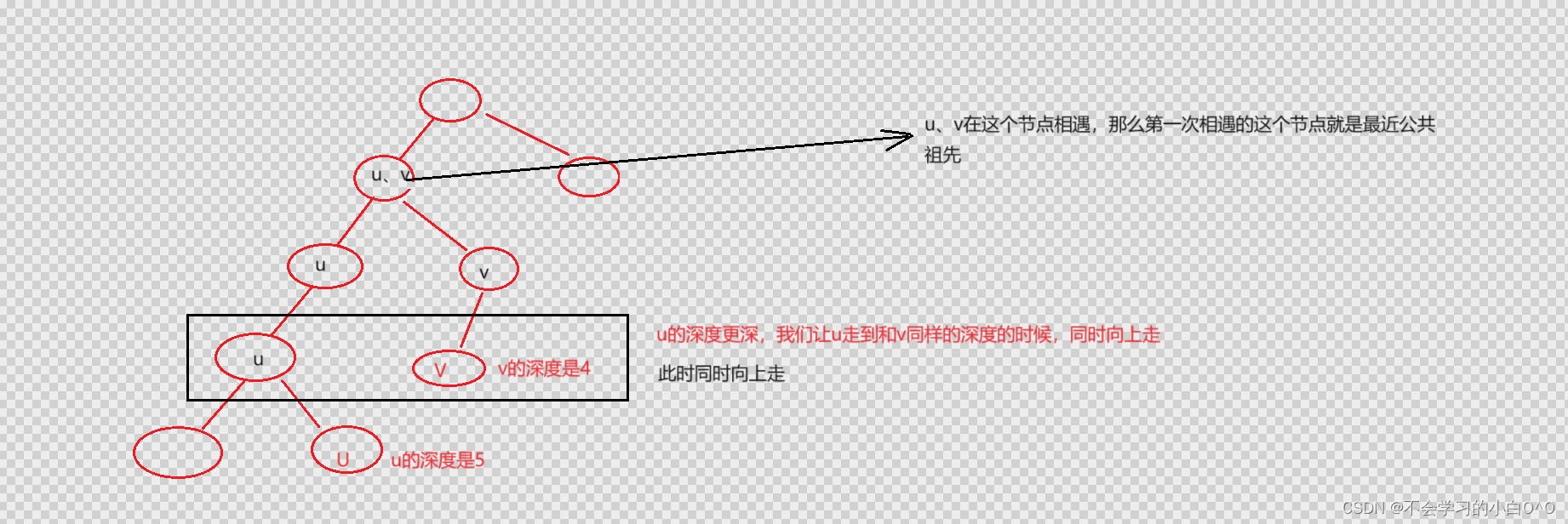 LCA算法（求两节点最近公共祖先）_数据结构lca-CSDN博客