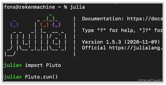 在本地运行Pluto.jl-CSDN博客