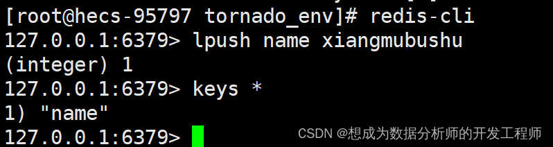 16.项目部署_dnf redis-CSDN博客