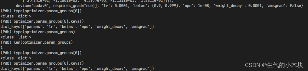 optimizer.param_groups中到底有什么_optimizer params-CSDN博客