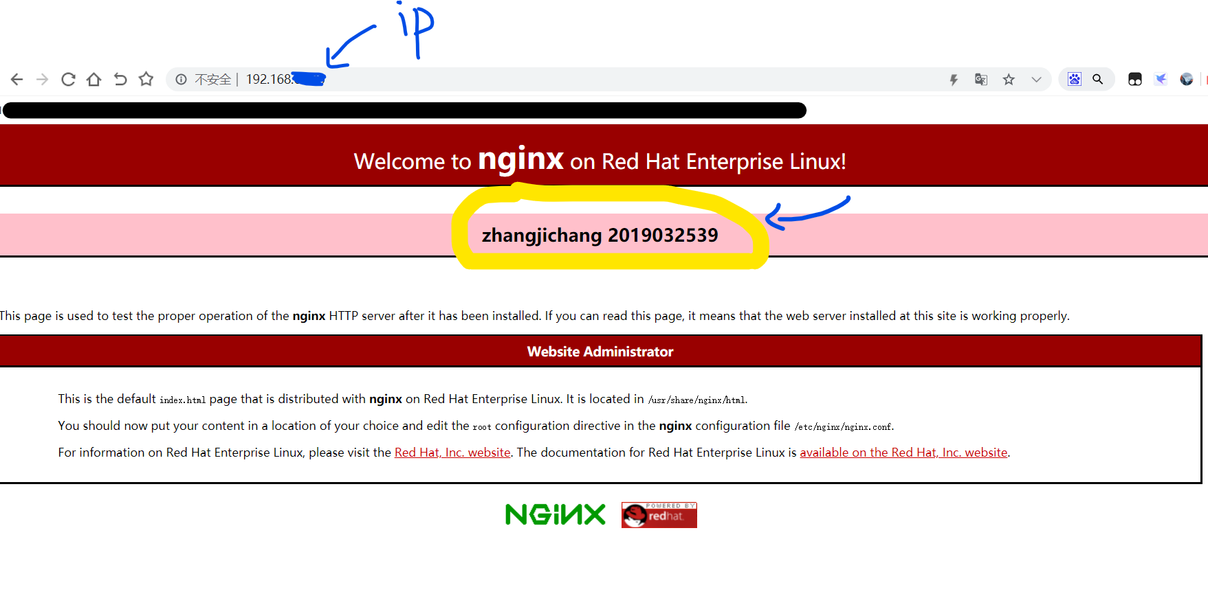 centos8下安装nginx并修改其默认网页_nginx修改默认首页-CSDN博客