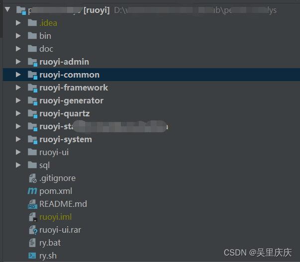 若依ruoyi实现单点登录_若依单点登录-CSDN博客