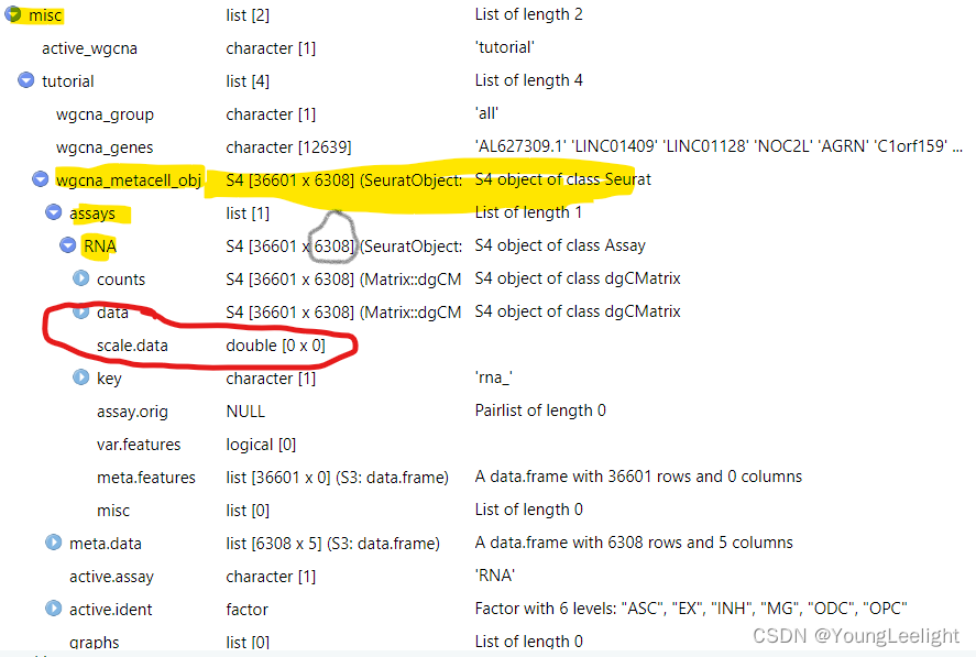 hdwgcna官网教程 详解-CSDN博客