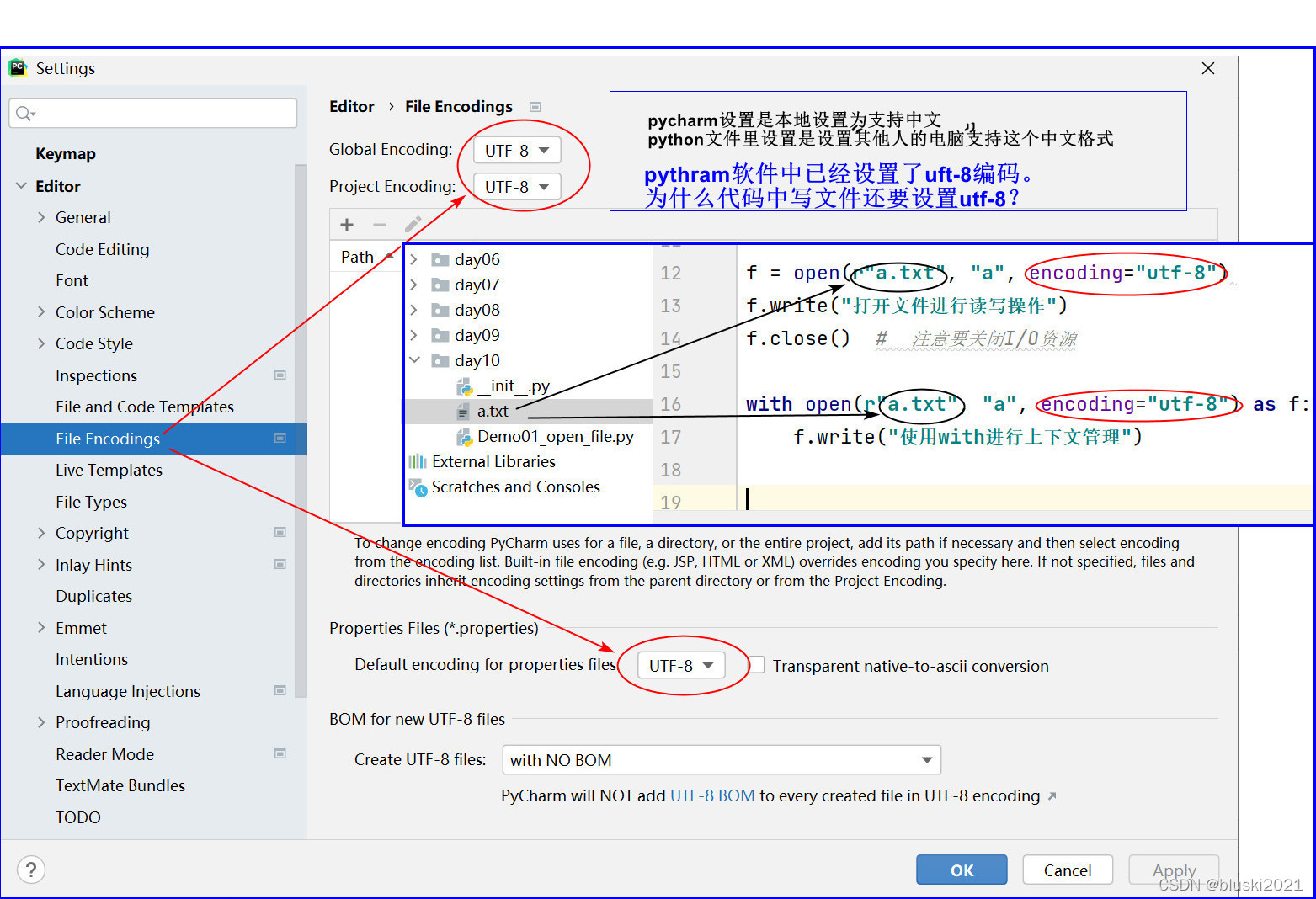 Python基础(文件操作):打开、读写、enumerate、二进制读写、文件属性、pickle(序列化)、csv、os、文件目录bluski2021的博客 Csdn博客 9789