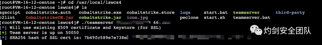 Cobalt Strike入门使用_cobalt strike vnc-CSDN博客