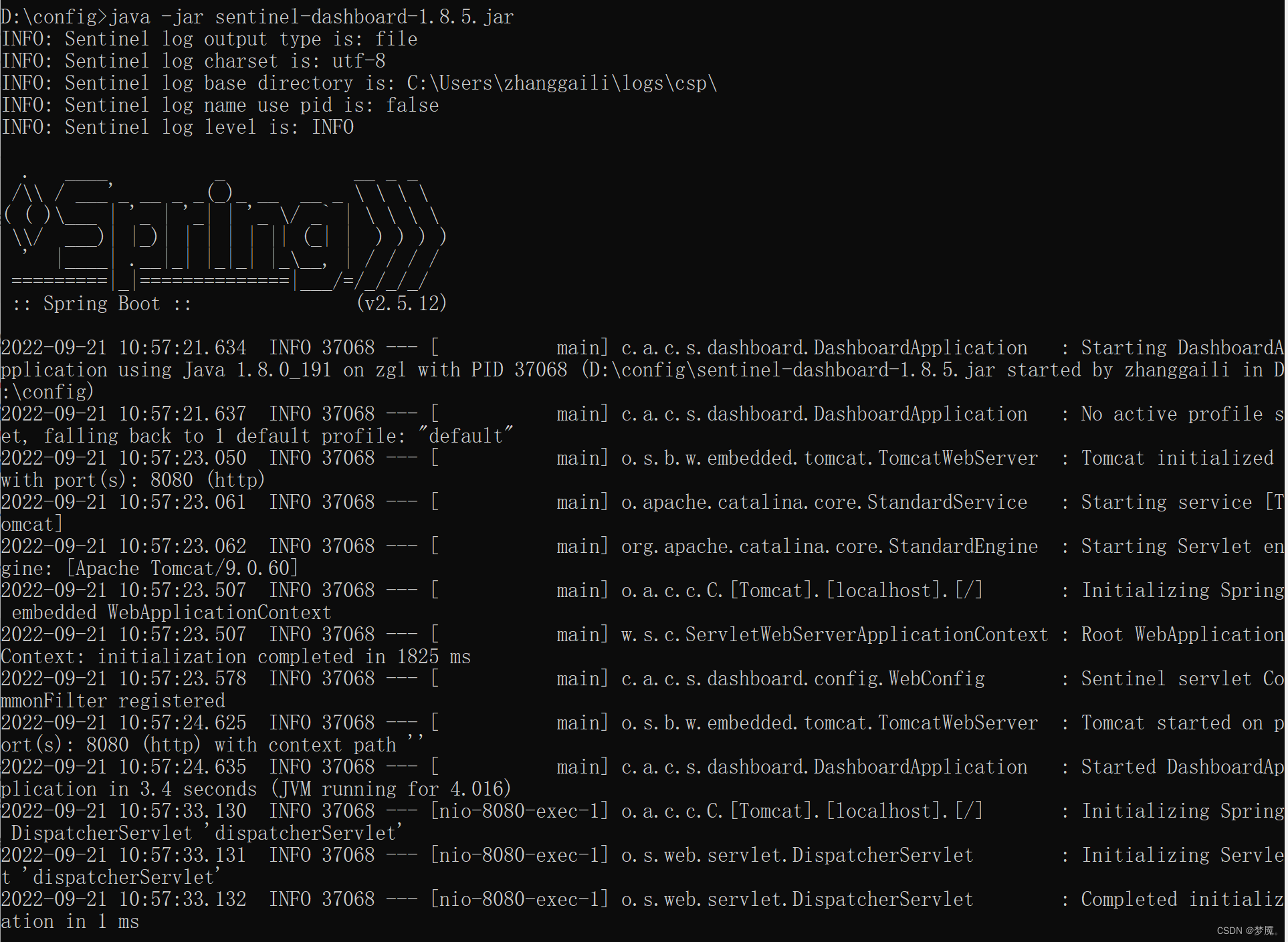 Window安装sentinel_windows部署 sentinel 控制台-CSDN博客