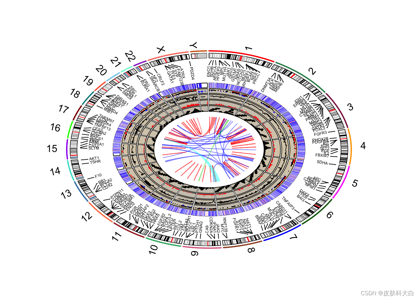 用RCircos包来画圈圈图-CSDN博客