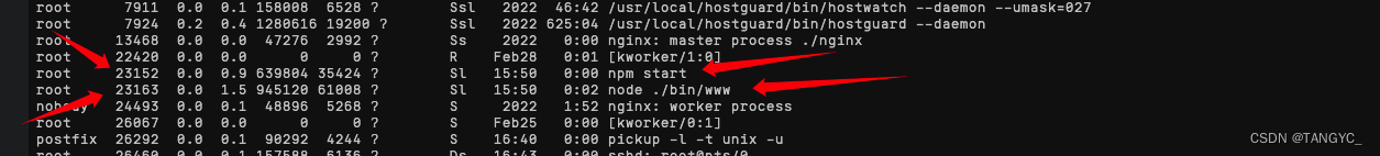 终止杀掉以nohup & 命令启动的后台进程_nohup in use-CSDN博客