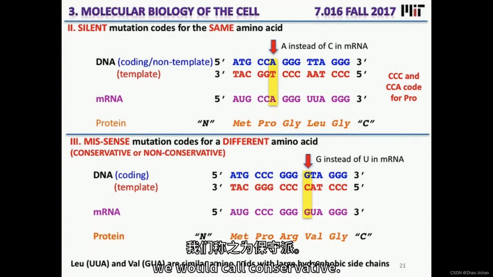 【Introductory Biology】Lecture 10 - Translation 翻译-CSDN博客