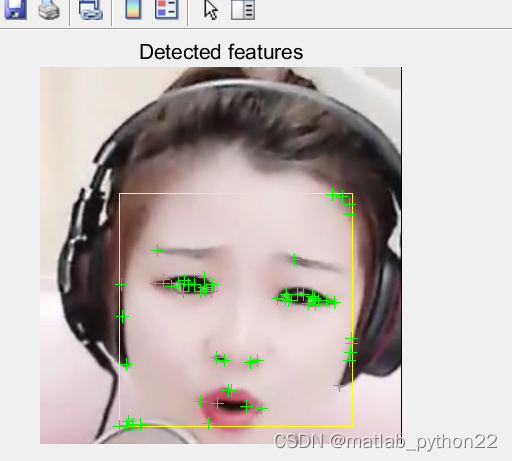 人脸识别和人脸的特征点描述 matlb 人脸追踪问题_人脸描点-CSDN博客