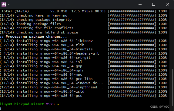 在 windows 上使用 gousb 开发 usb-CSDN博客