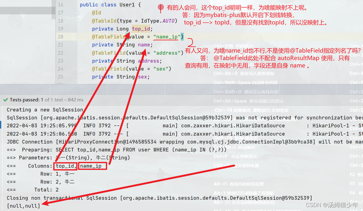 Mybatis Plus之映射篇(部分注解使用)autoresultmap True Csdn博客