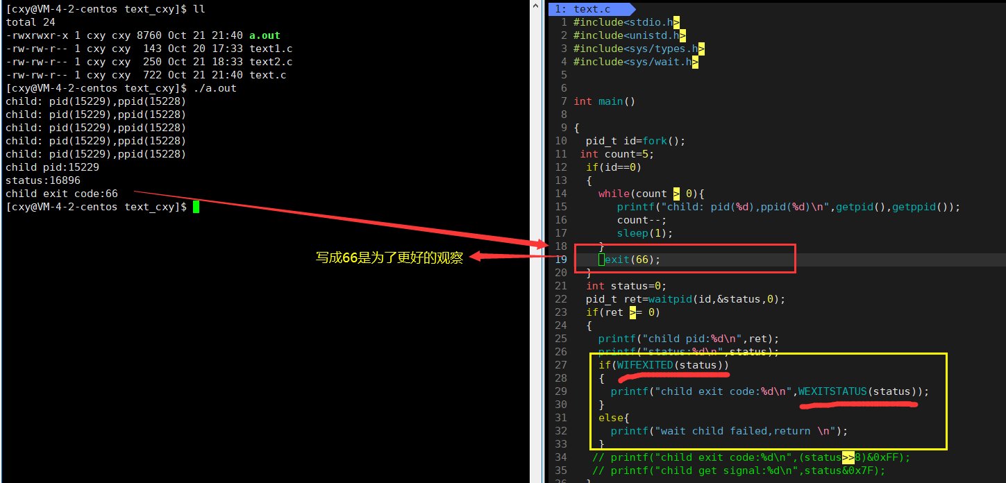 【Linux入门】：进程控制_linux unistd.h实现在哪里-CSDN博客