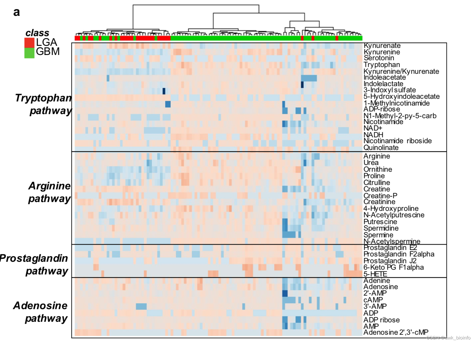 GSVA：pathway级别的差异分析_gsva分析-CSDN博客