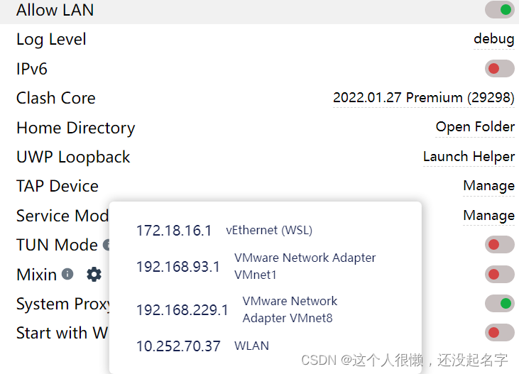 wsl下配置代li_allow lan-CSDN博客