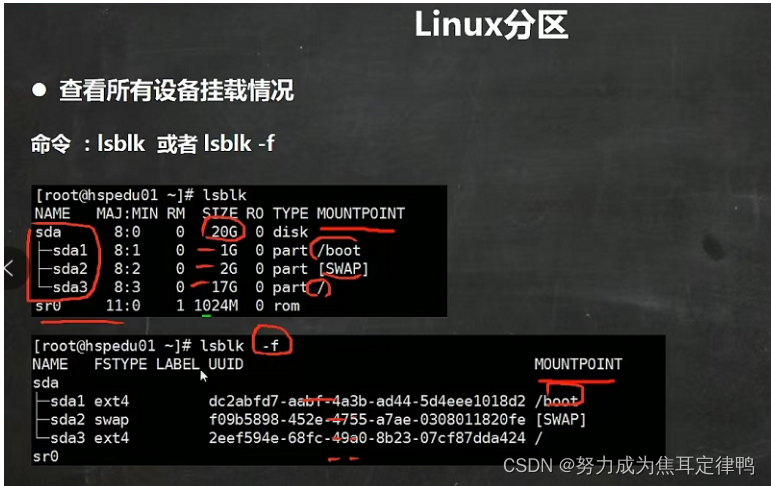 Linux：磁盘分区，挂载(含实例)_lsblk挂载硬盘-CSDN博客