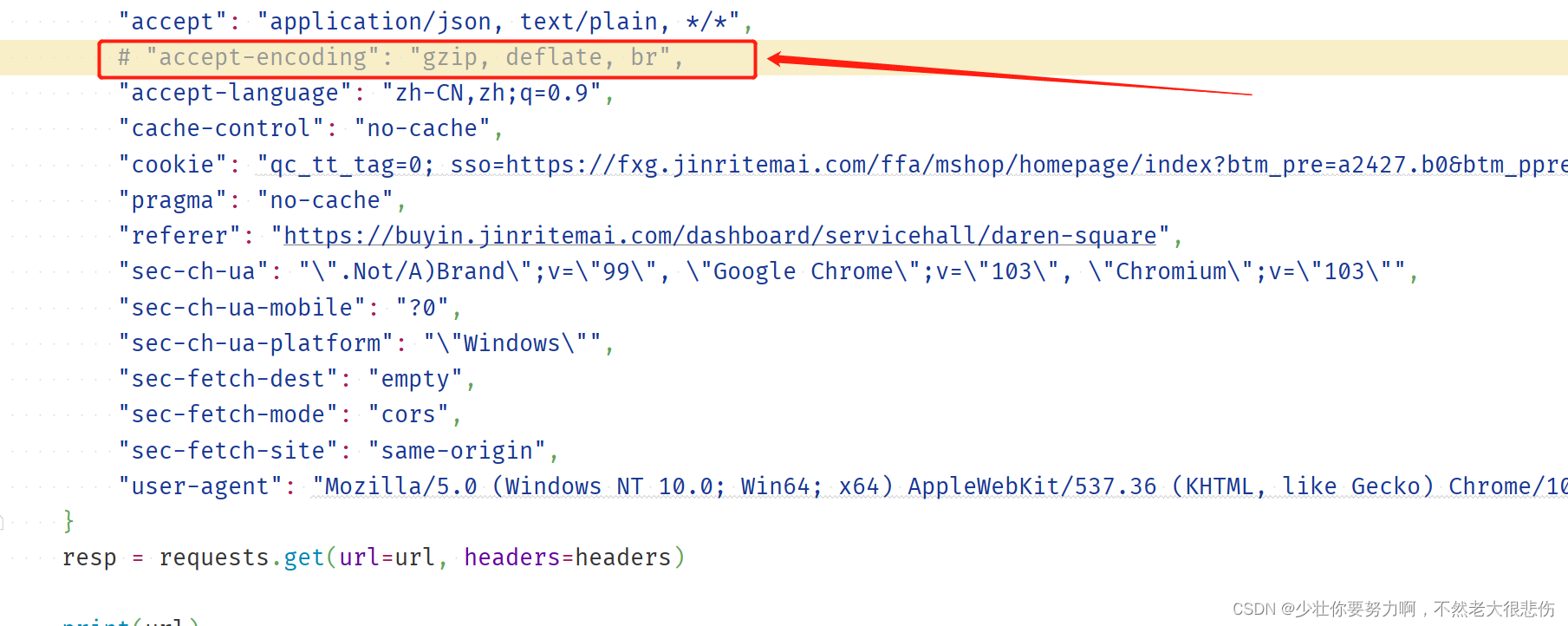 python打印resp.text出现乱码_print(resp.text)结果中文乱码-CSDN博客