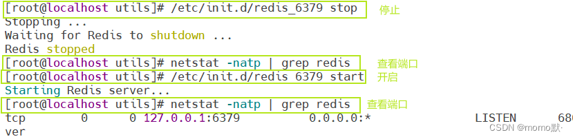 redis_redis进程-CSDN博客