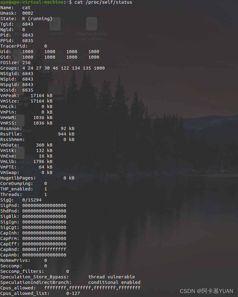Linux procfs详解-CSDN博客