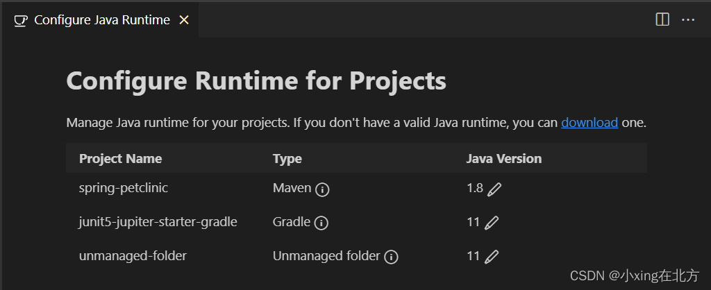 Opening Java Projects: [check details](command:java.show.server.task.status)_opening java ...