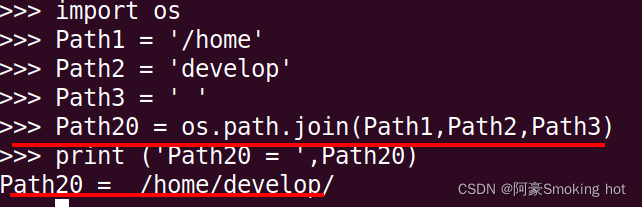 Python路径拼接ospathjoin函数的用法ospathjoin 设置分割 Csdn博客