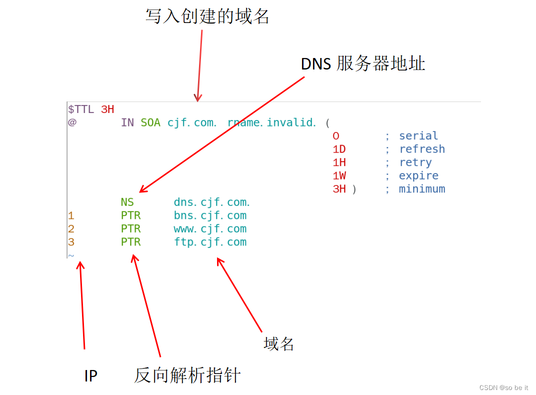 linux DNS服务_linux网卡配置dns-CSDN博客