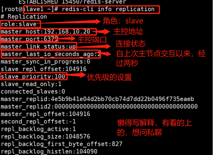 Redis主从模式 Springboot Redis一主一从 Yml Csdn博客