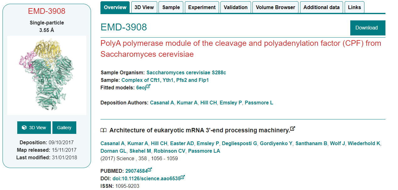 Coot Cryo-EM教程2：Fitting和Mutating_coot中拉试图的解读-CSDN博客