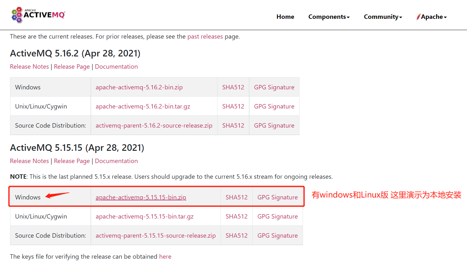 ActiveMQ本地安装及启动（Windows）_本地运行activemq-CSDN博客
