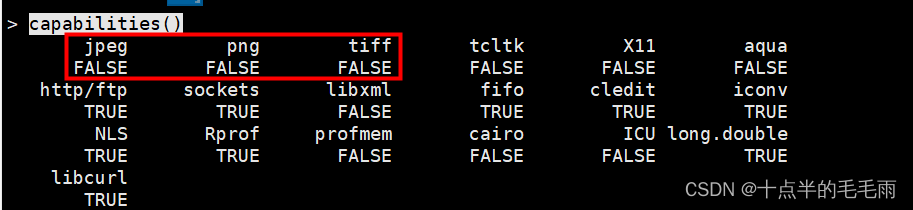 Java通过Rserve调用R脚本_java rserve 多请求-CSDN博客