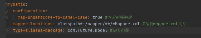 Application.yml配置-mybatis_application.yml配置mybatis-CSDN博客