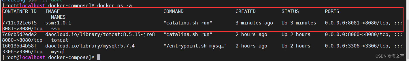 使用docker Compose批量操作 Docker Cp 批量 Csdn博客