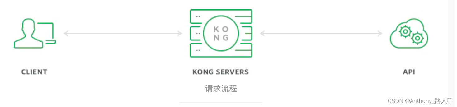 Api网关之kong初识kong Api 教程 Csdn博客 9876